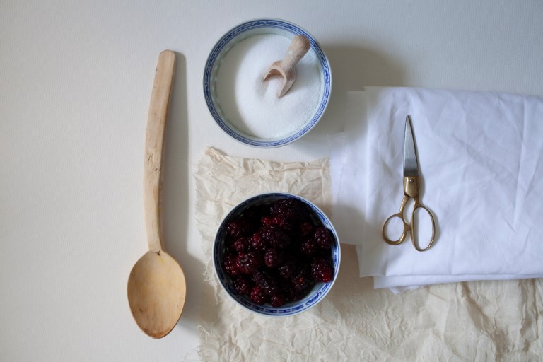 How to dye fabric using berries